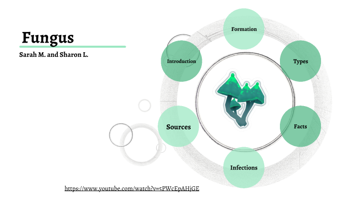 Fungus - SCHOOL PROJECT by Sharon Liu on Prezi