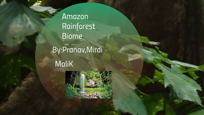 Rainforest Biomes by Mali'k Moore on Prezi
