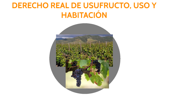 DERECHO REAL DE USUFRUCTO USO Y HABITACION by Amparo Zamarbide on Prezi