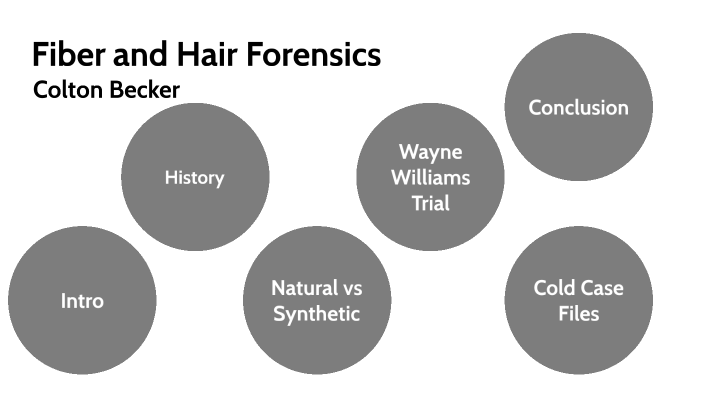 Fiber and Hair Forensics by Colton Becker on Prezi