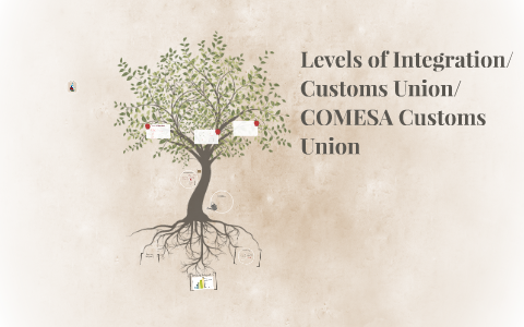 Levels of Integration/Customs Union/COMESA Customs Union by Liz ...