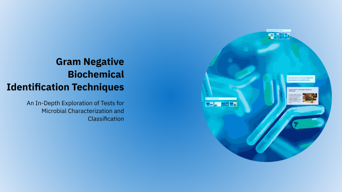 Gram Negative Biochemical Identification Techniques by Alé on Prezi