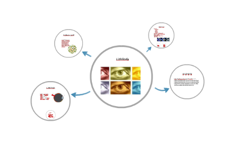 Litblinda by Vigdís Birna Þorsteinsdóttir on Prezi