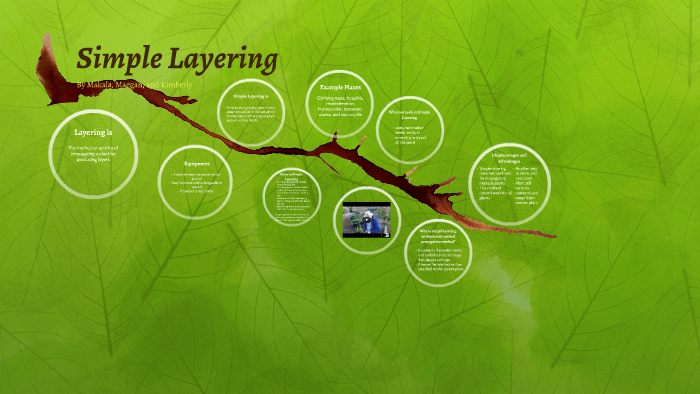 Simple Layering by Maegan W on Prezi