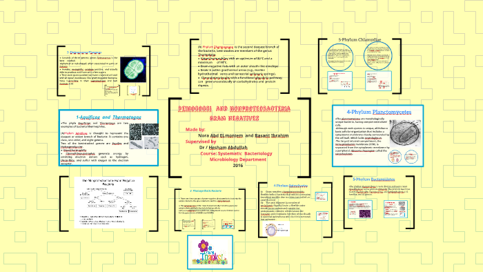 Deinococci and Nonproteobacteria Gram negatives by basant nada on Prezi