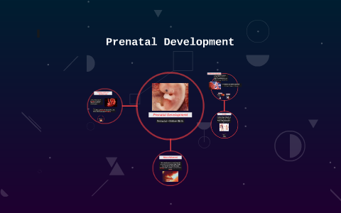 Prenatal Development by TaBrea Sledge on Prezi