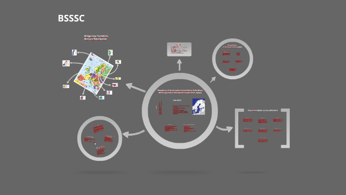 BSSSC by Mateusz Nikodemski on Prezi