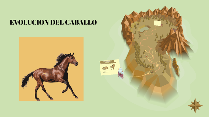 Evolucion del caballo by alma ferro on Prezi