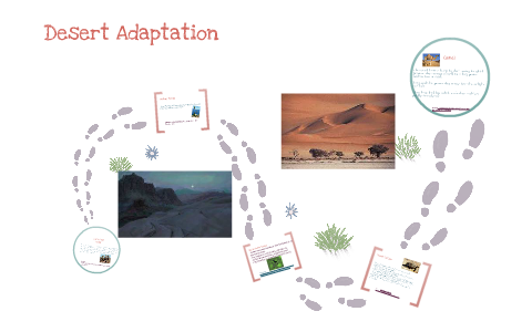 Desert Adaptations by Vieri Yusuf Iqbal on Prezi