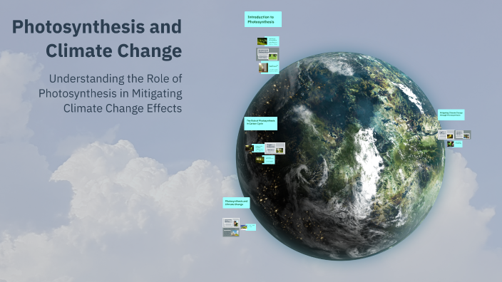 Photosynthesis and Climate Change by Shams Almomani on Prezi