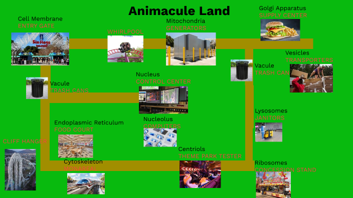 Cell Amusement Park by Adam Lemons on Prezi