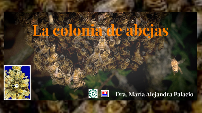 LA COLONIA DE ABEJAS by Analía Martinez