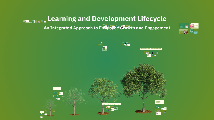 Learning and Development Lifecycle by Sias Meyer on Prezi