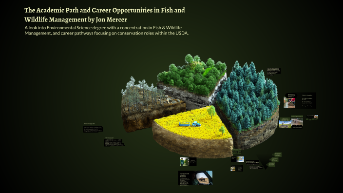 Exploring the Academic Path and Career Opportunities in Fish and ...