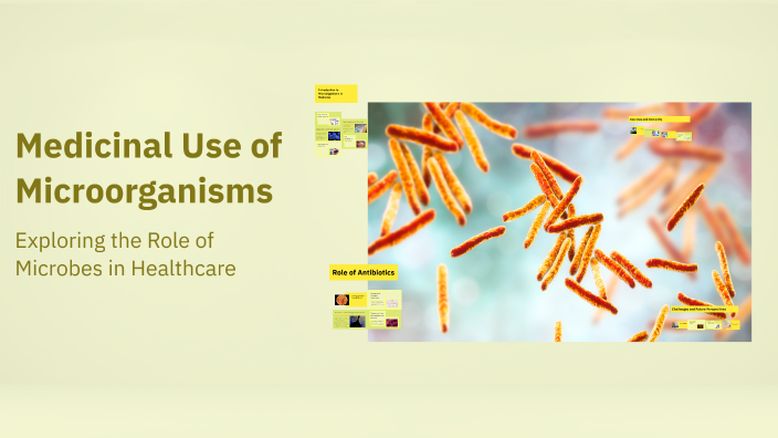 Medicinal Use of Microorganisms by Samee Deshmukh on Prezi