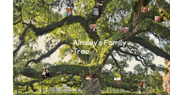Ainsley's Family Tree by Ainsley Guilbeau on Prezi