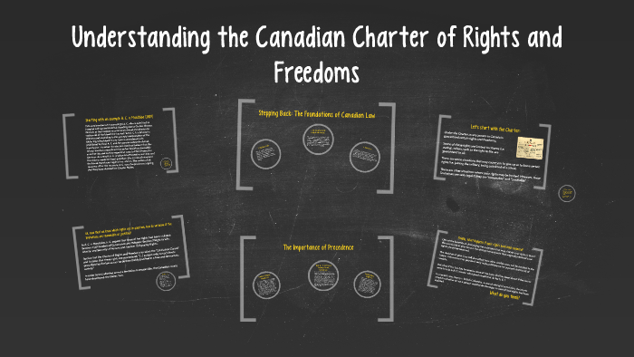 Understanding the Canadian Charter of Rights and Freedoms by Johannah ...