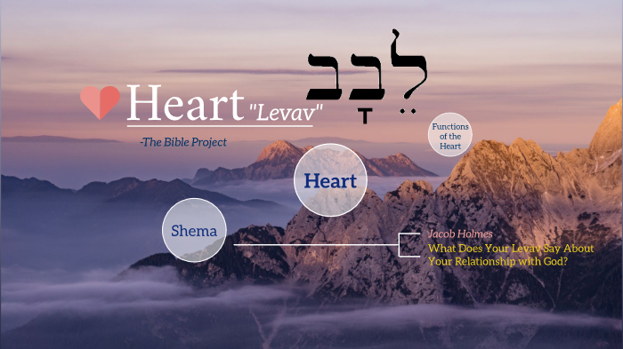 The Heart- Levav by Jacob Holmes on Prezi