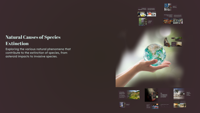 Natural Causes of Species Extinction by Enzo Ramiso on Prezi
