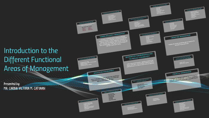 Introduction to the Different Functional Areas of Management by Kaye ...