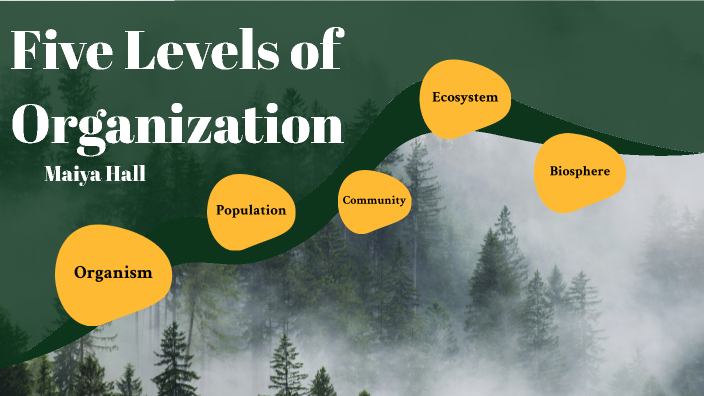 Levels of Organization by Maiya Hall on Prezi