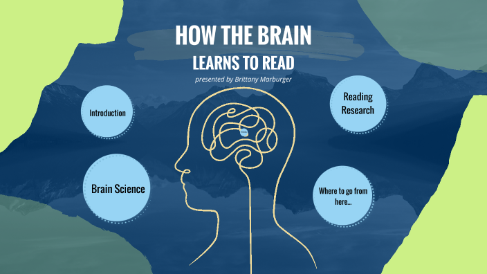 How the Brain Learns to Read by on Prezi