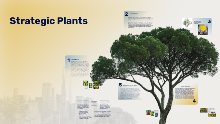 Strategic Plants by Nova Yates on Prezi