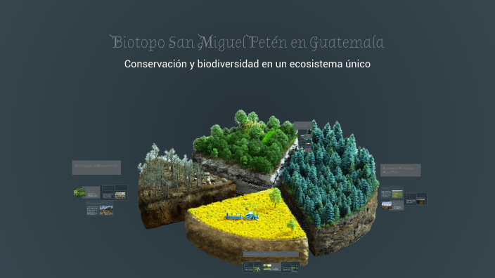 Biotopo San Miguel Petén en Guatemala by Oscar Danilo Garrido Oscal on ...