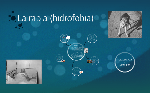 La rabia (hidrofobia) by Ana Isabel Ramírez on Prezi