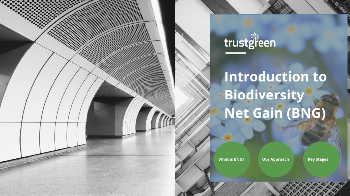 Introduction to BNG by Sioned Owen on Prezi