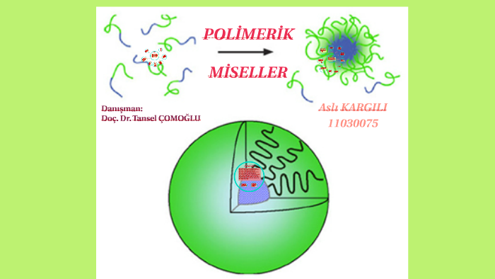 POLİMERİK MİSELLER by Aslı Kargılı on Prezi