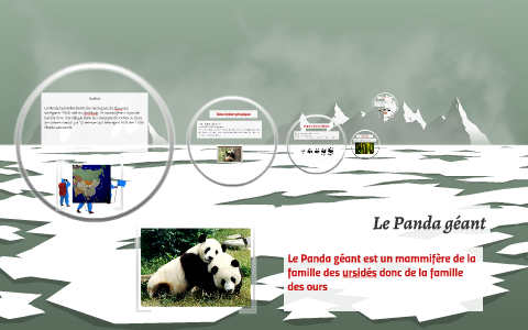Le Panda géant by Derek Bolle on Prezi