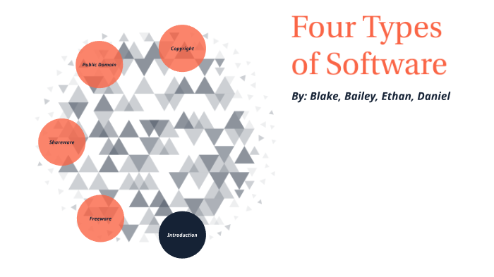 4 Types of Software by Bailey Baxter on Prezi