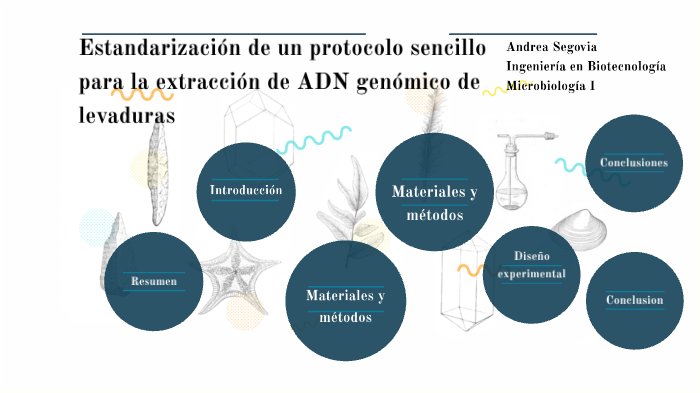 Estandarización De Un Protocolo Sencillo Para La Extracción De Adn