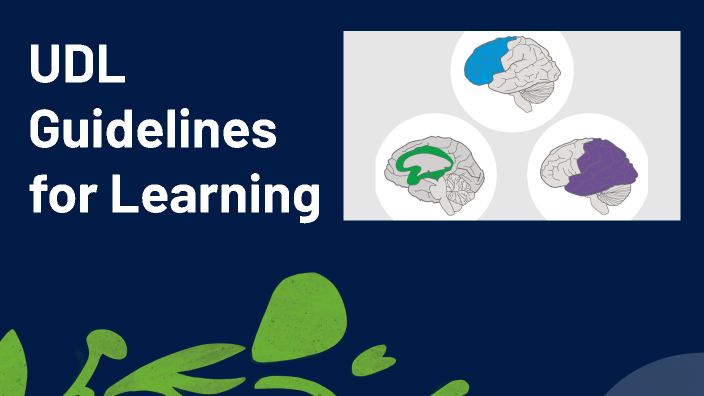 UDL Guidelines for Learning by Gabriela Santiago-Plaud on Prezi