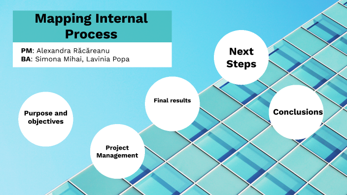 Mapping Internal Process by Alexandra Bianca Răcăreanu on Prezi