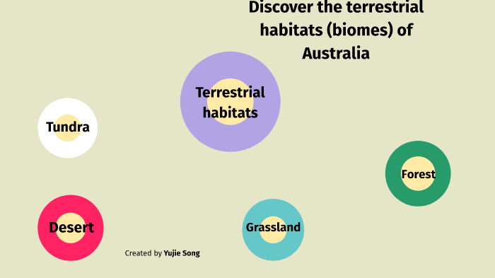 Discover the terrestrial habitats of Australia by on Prezi