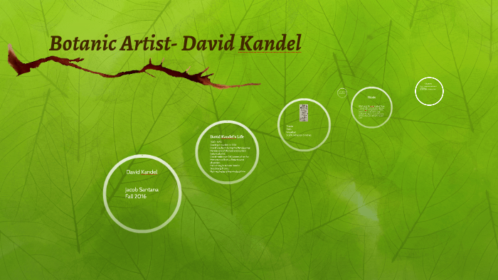 Botanic Artist- David Kandel by Jacob Santana on Prezi