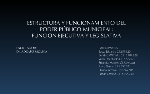 ESTRUCTURA Y FUNCIONAMIENTO DEL PODER PÚBLICO MUNICIPAL: FUNCION ...