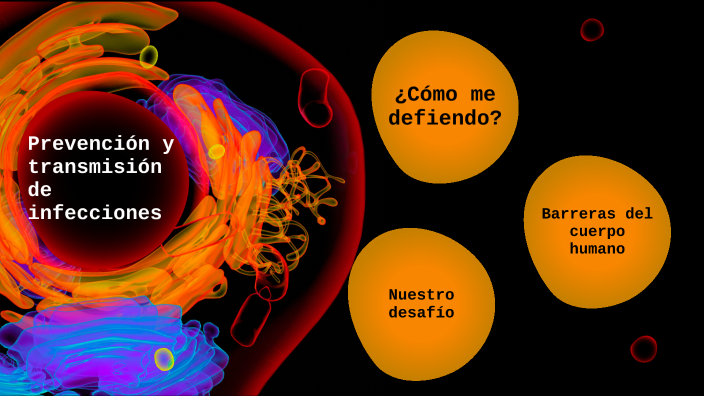 prevención de transmisión de infecciones by Areli Castro on Prezi