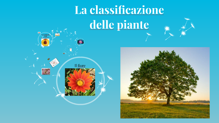 La classificazione delle piante by luca sirigu on Prezi
