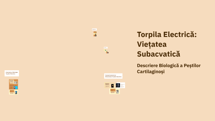 Torpila Electrică: Viețatea Subacvatică by Eva Sadovschi on Prezi