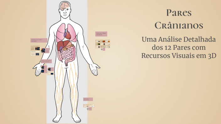 Pares Crânianos by Elisa Matias on Prezi