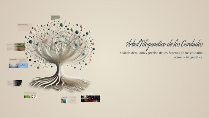 Árbol Filogenético de los Cordados by hola jessica on Prezi