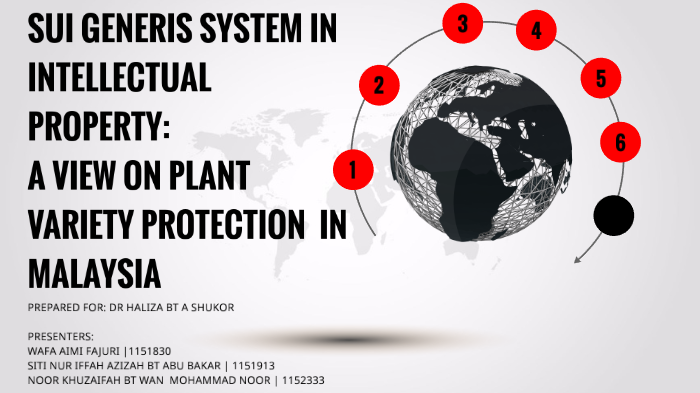 The Sui Generis System by Iman Harithh on Prezi