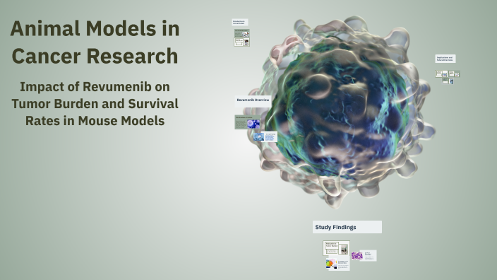 Animal Models in Cancer Research by Lolla Ibiks on Prezi