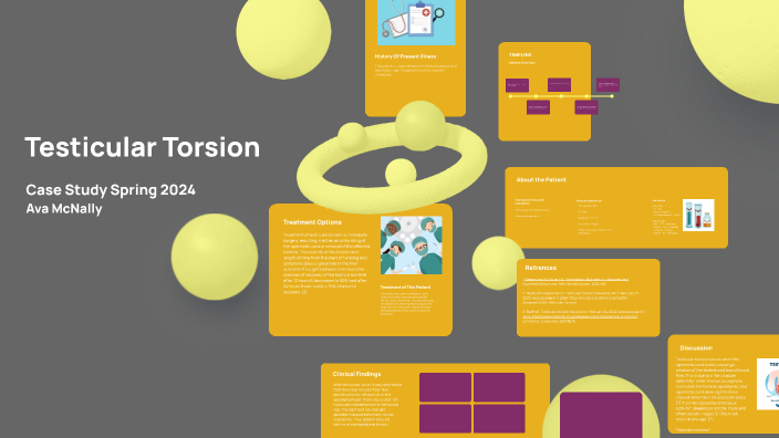 Spring Case Study by Ava McNally on Prezi