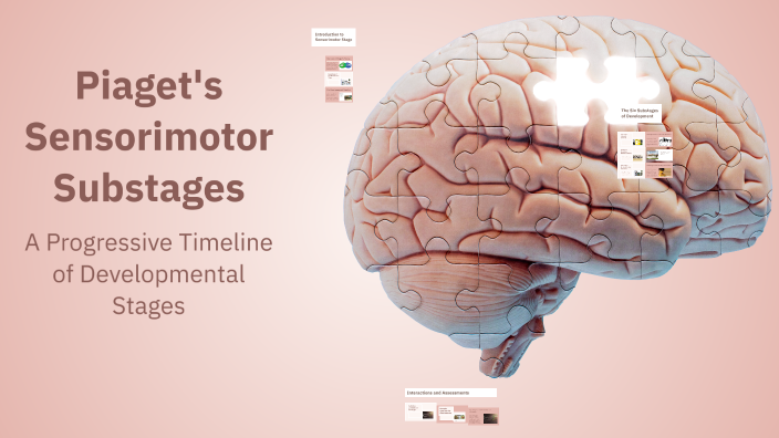 Piaget's Sensorimotor Substages by Jenna Lane on Prezi