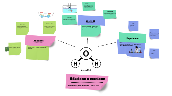 Adesione e coesione by Anita Cavallin on Prezi