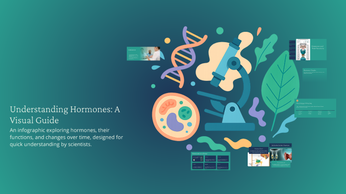 Understanding Hormones: A Visual Guide by Naheed Zahir on Prezi